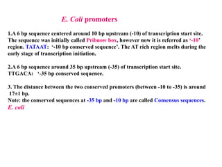 transcription in prokaryotes and eukaryotes | PPTX