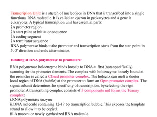 transcription in prokaryotes and eukaryotes | PPTX