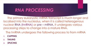 Zoology Molicular biology[Transcription] | PPTX