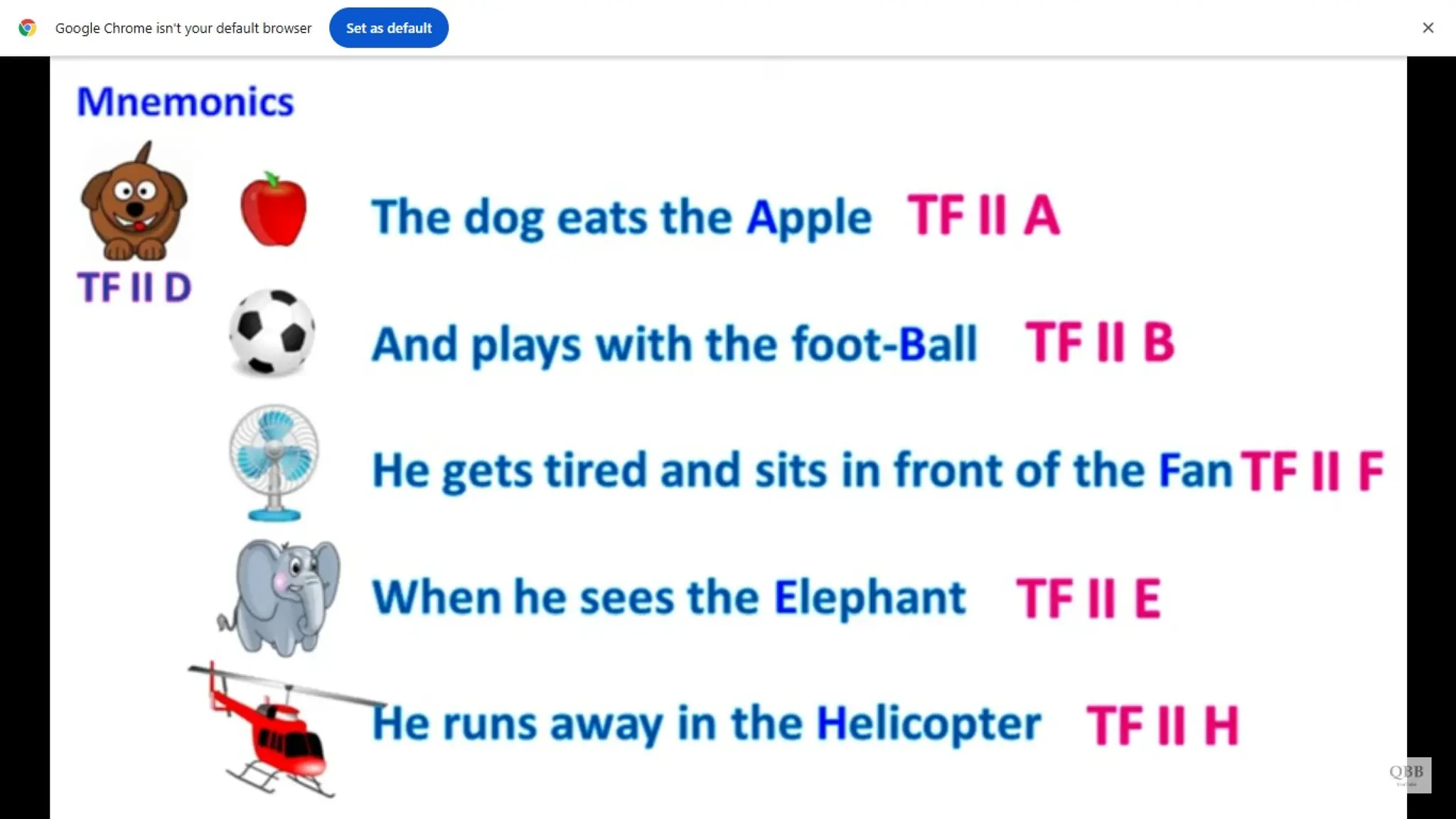Transcription DNA to RNA, RNA polymearase.pptx
