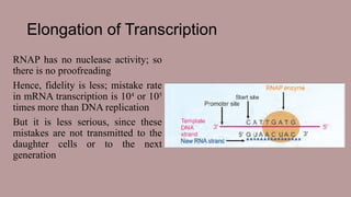 Transcription | mRNA Synthesis & Gene Expression | | PPTX