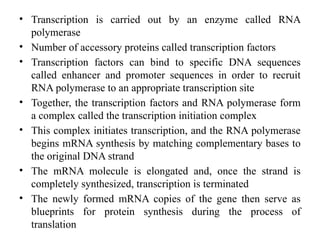 Transcription Process in Eukaryotes and Human.pptx