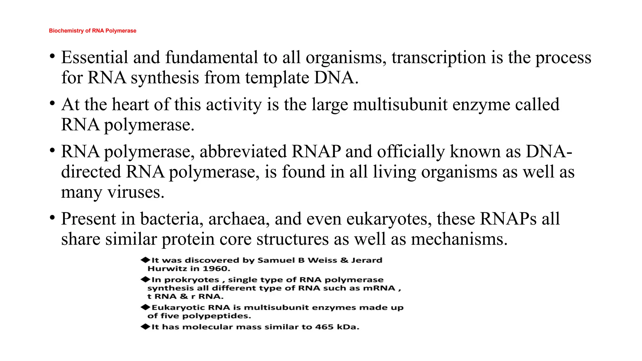 Transcription akcnajlnlncs cmalksnc.pptx