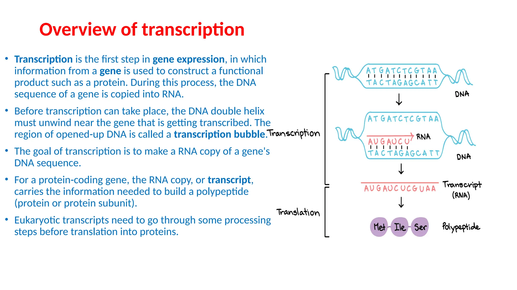 Transcription akcnajlnlncs cmalksnc.pptx
