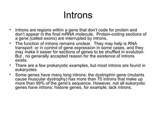 Transcription and Translation process .. | PPT | Biological Sciences ...