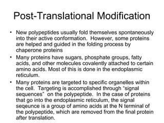Transcription and Translation process .. | PPT