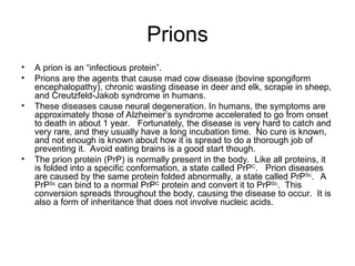 Molecular Biology Transcription ........ | PPT