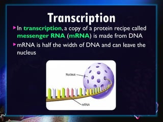 Transcription-and-Translation Science 10.pptx