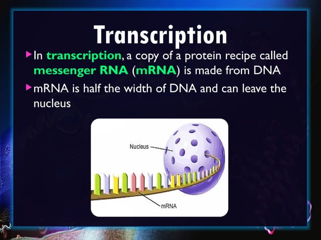 Transcription-and-Translation Science 10.pptx