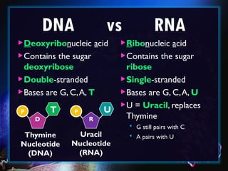 Transcription-and-Translation Science 10.pptx