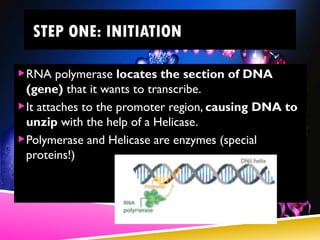 Transcription-and-Translation Science 10.pptx