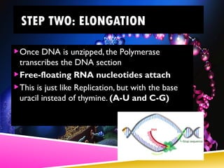 Transcription-and-Translation Science 10.pptx