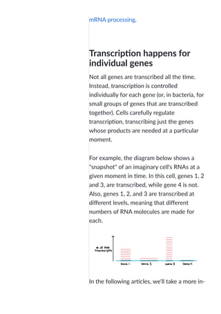 Transcription- an overview of DNA transcription (article) | Khan ...