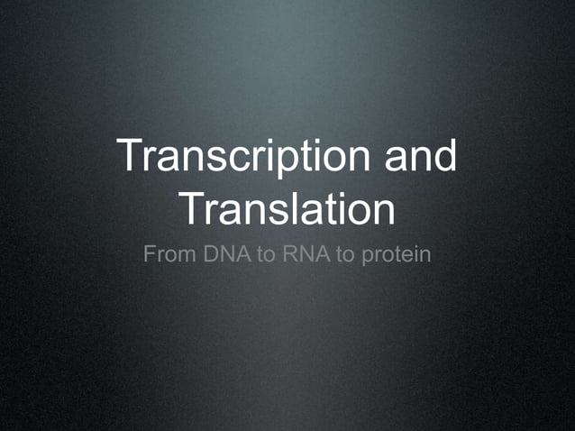 transcription-translation.ppt