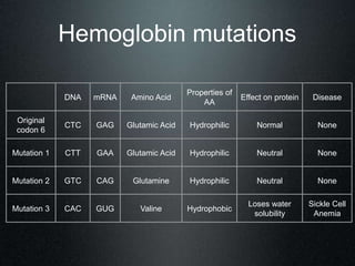 transcription-translation.ppt