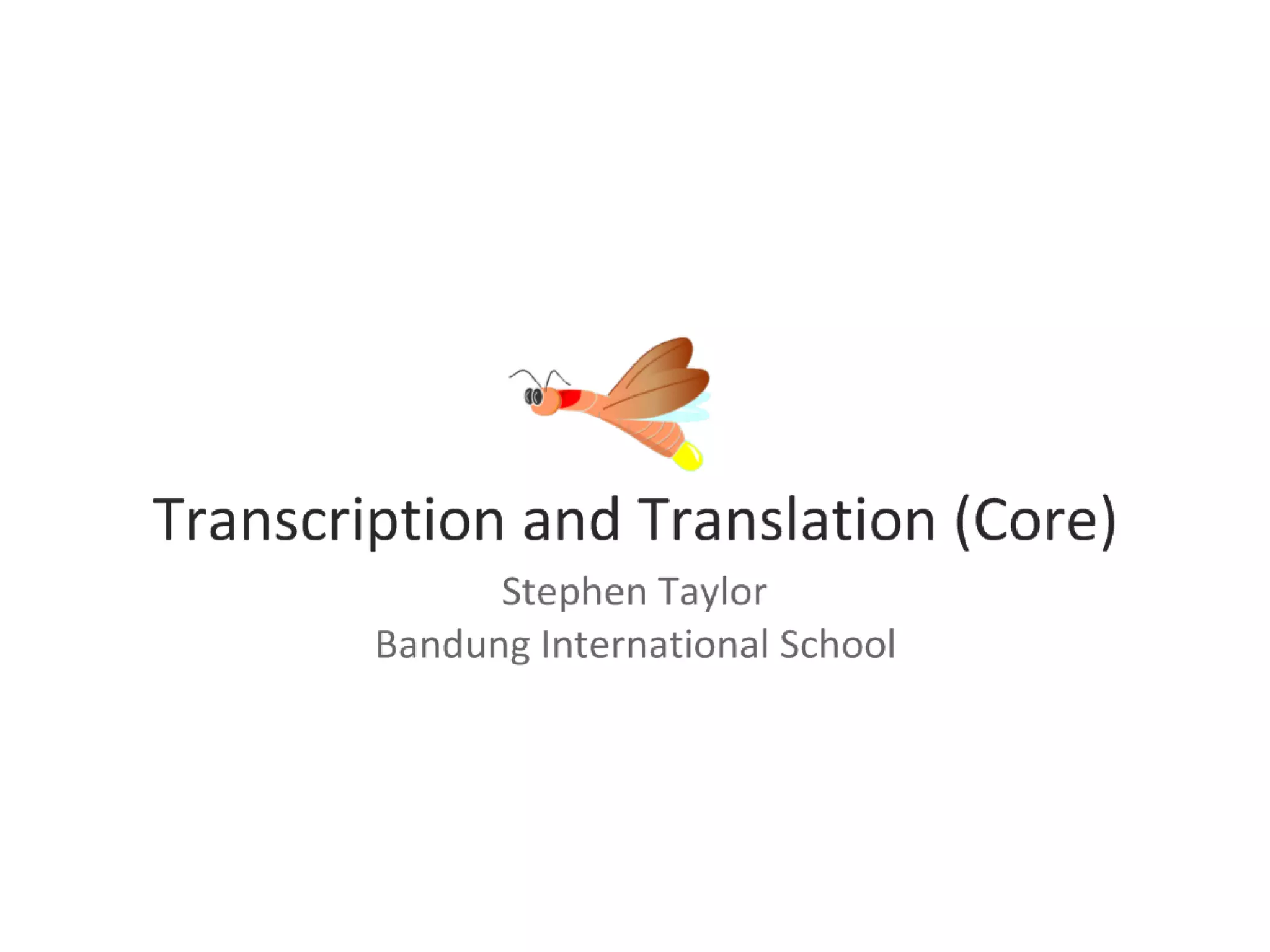 Transcription & Translation (Core) | PDF