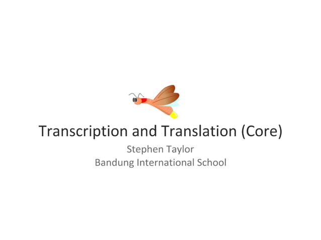 Transcription & Translation (Core) | PPT