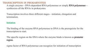 transcription ^0 translation.pptx