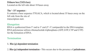 transcription ^0 translation.pptx