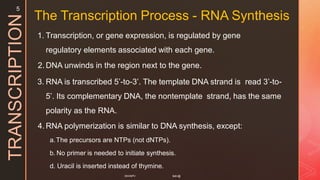 Transcription | PPT