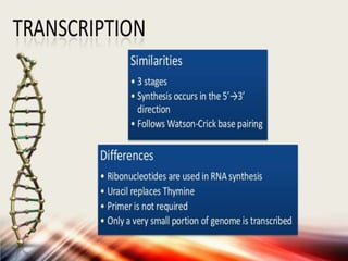 DNA Transcription | PPTX | Biological Sciences | Science