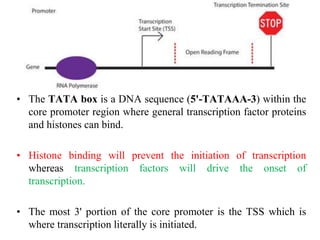 Transcription | PPT