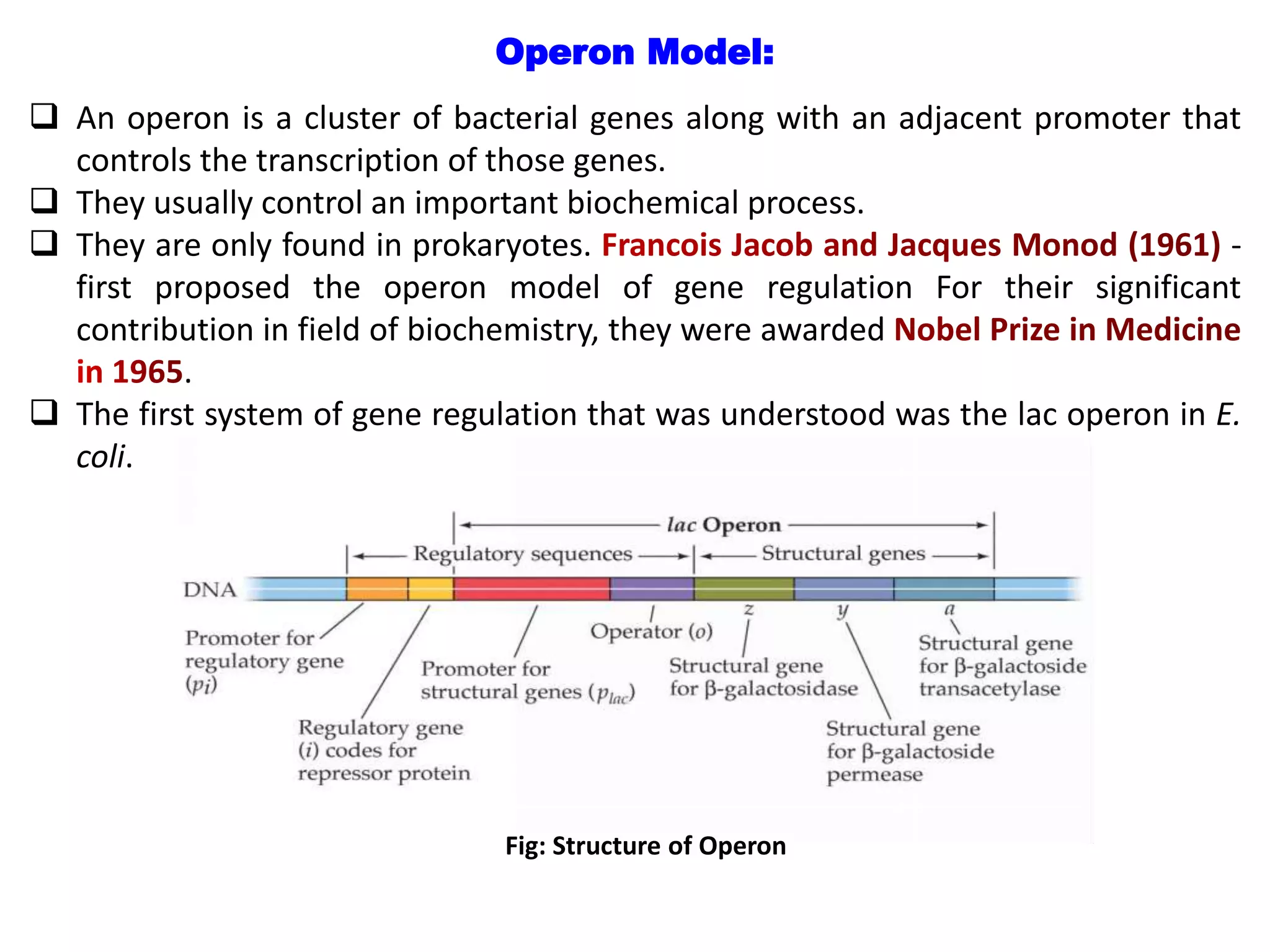Transcriptional and Post-transcriptional Regulation of Gene Expression.pptx