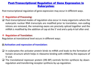 Transcriptional and Post-transcriptional Regulation of Gene Expression ...