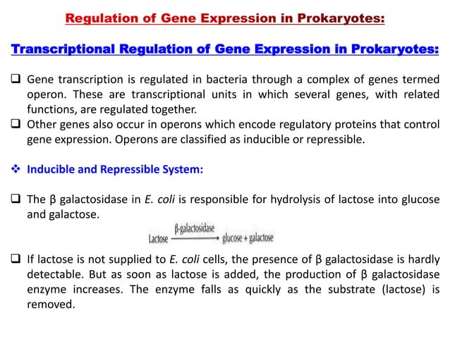 Transcriptional and Post-transcriptional Regulation of Gene Expression ...