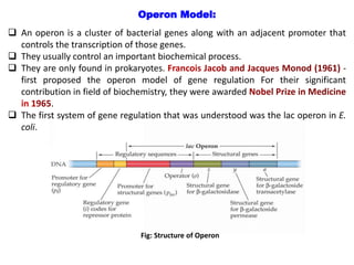 Transcriptional and Post-transcriptional Regulation of Gene Expression.pptx