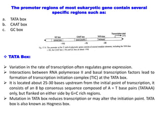 Transcriptional and Post-transcriptional Regulation of Gene Expression.pptx