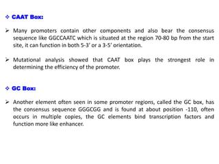 Transcriptional and Post-transcriptional Regulation of Gene Expression.pptx