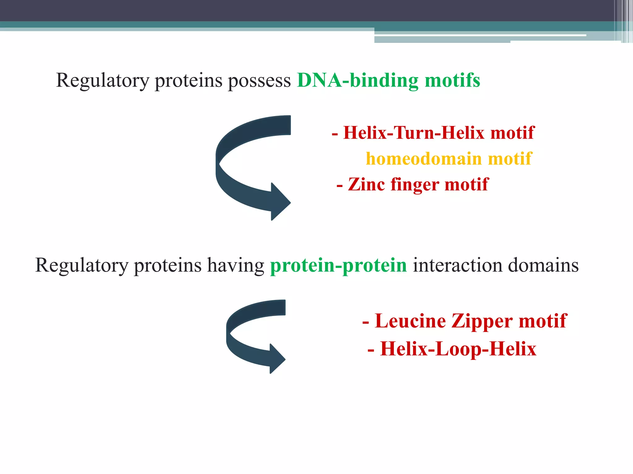 Transcriptional and post transcriptional regulation of gene expression ...