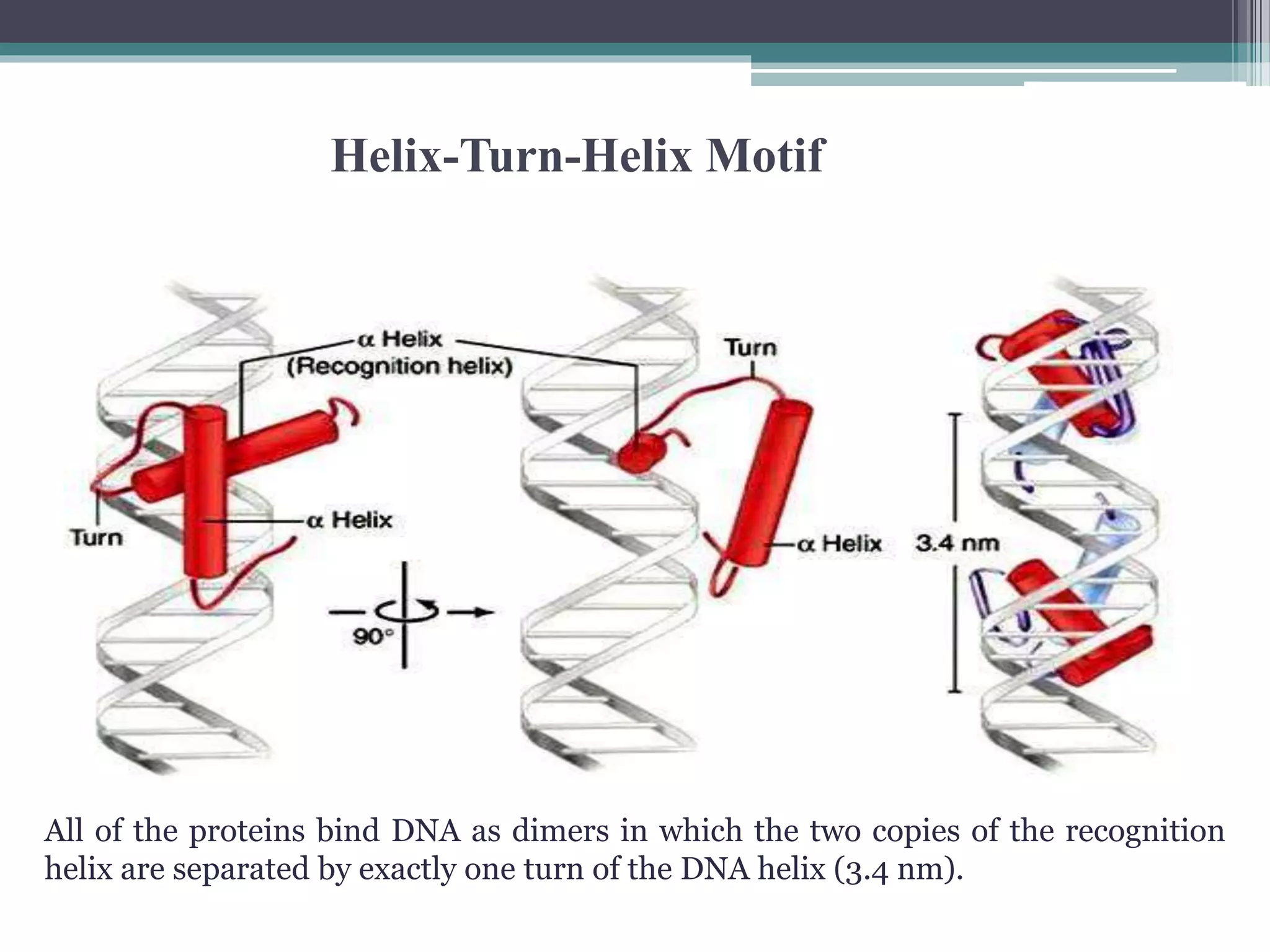 Transcriptional and post transcriptional regulation of gene expression ...