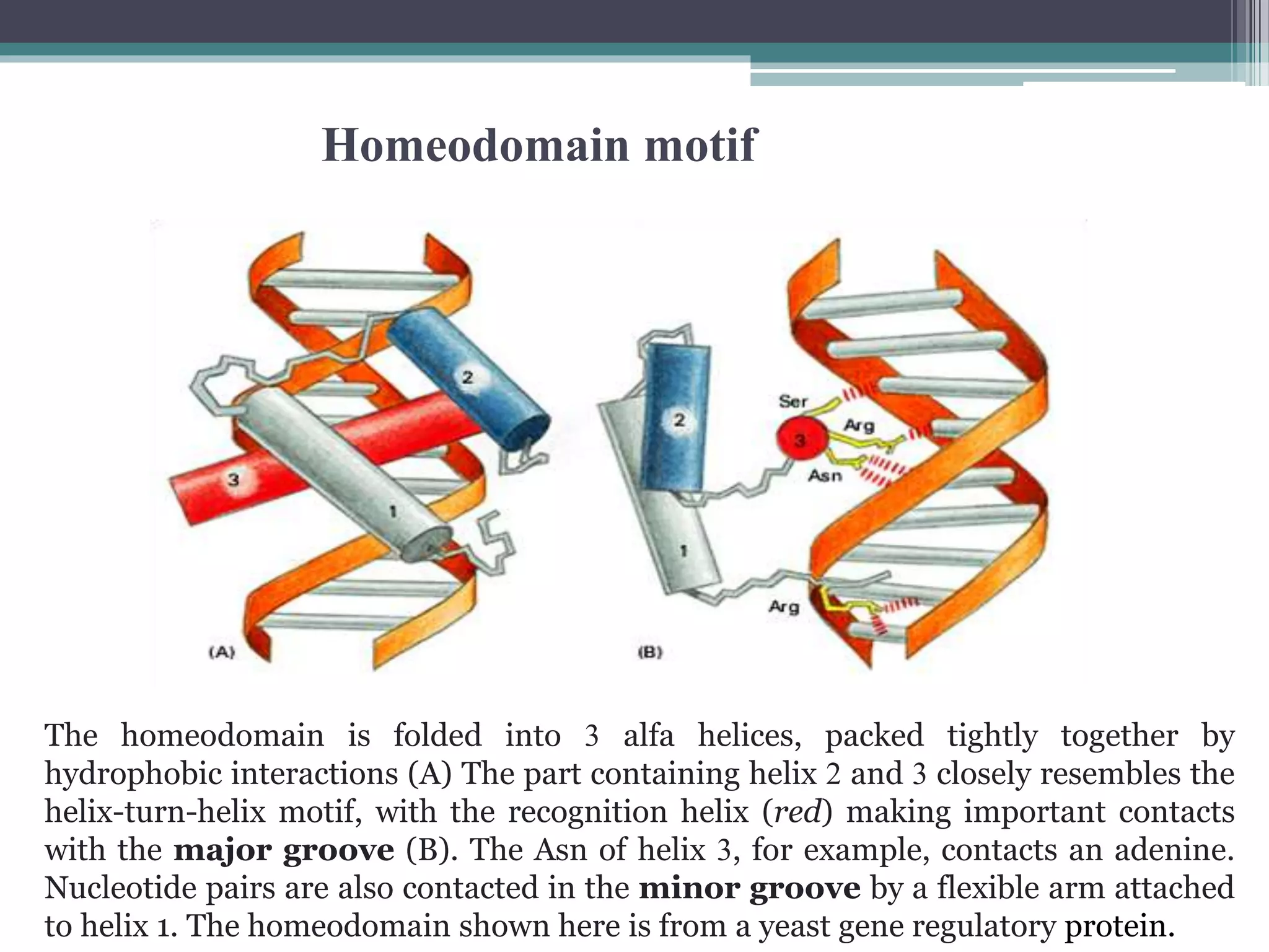 Transcriptional and post transcriptional regulation of gene expression ...