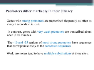 Transcriptional and post transcriptional regulation of gene expression ...