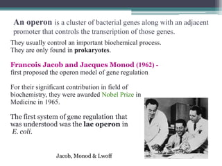 Transcriptional and post transcriptional regulation of gene expression ...