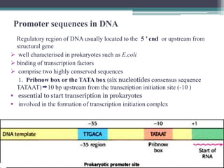 Transcriptional and post transcriptional regulation of gene expression ...