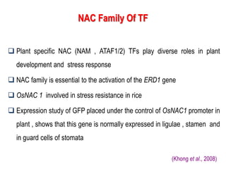 Transcriptional factors in stress tolerance | PPTX