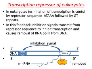 transcriptional factros and repressors.pptx