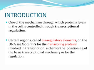 Transcriptional regulation [autosaved] | PPTX