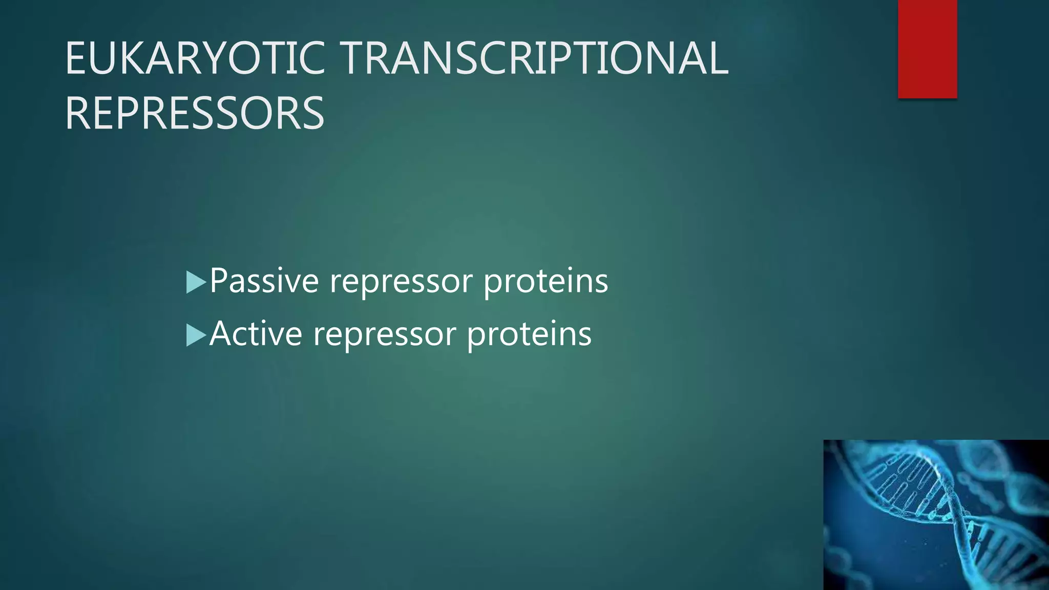 Transcriptional repressors ppt Repressor proteins involved in ...