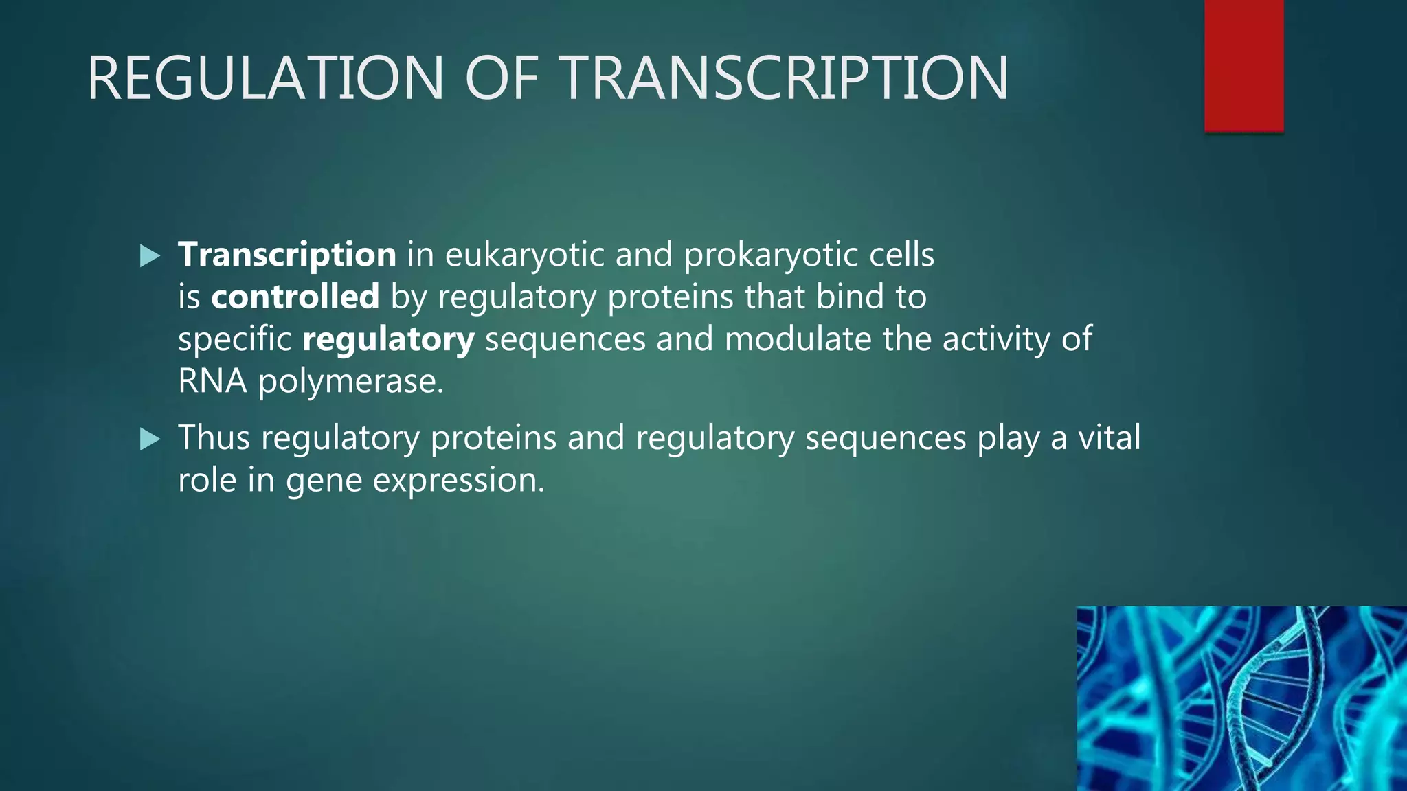 Transcriptional repressors ppt Repressor proteins involved in ...