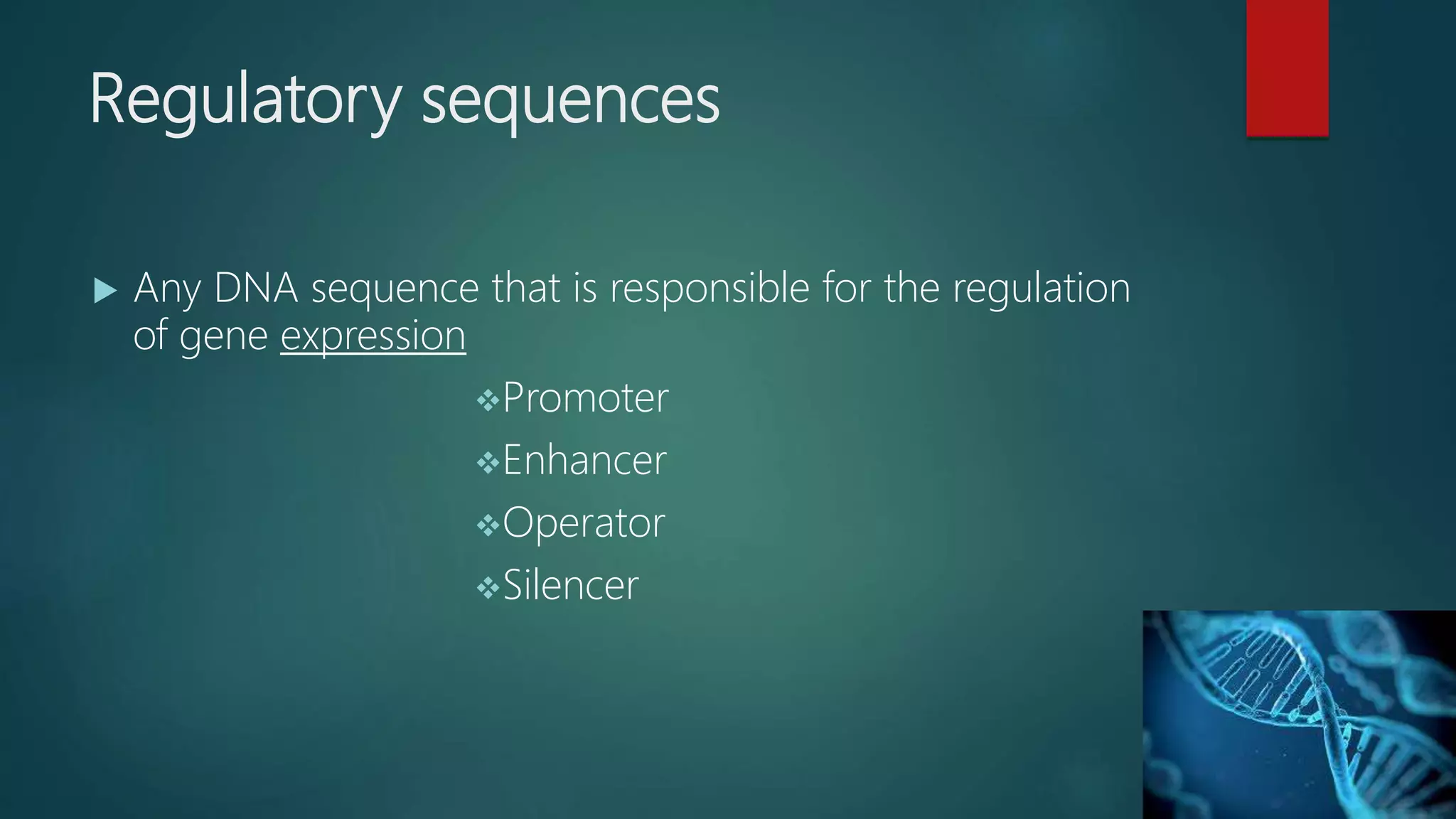 Transcriptional repressors ppt Repressor proteins involved in ...