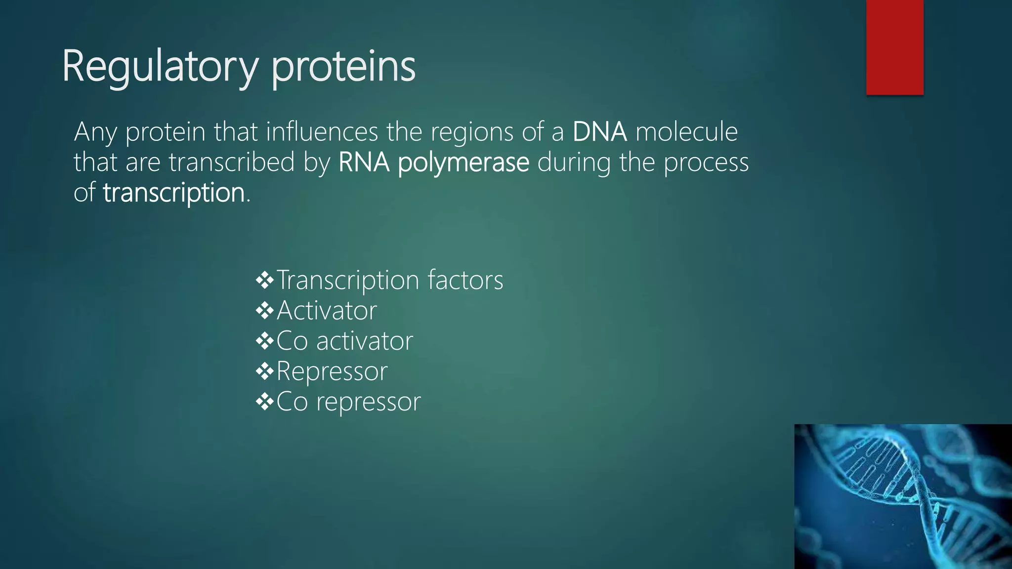 Transcriptional repressors ppt Repressor proteins involved in ...