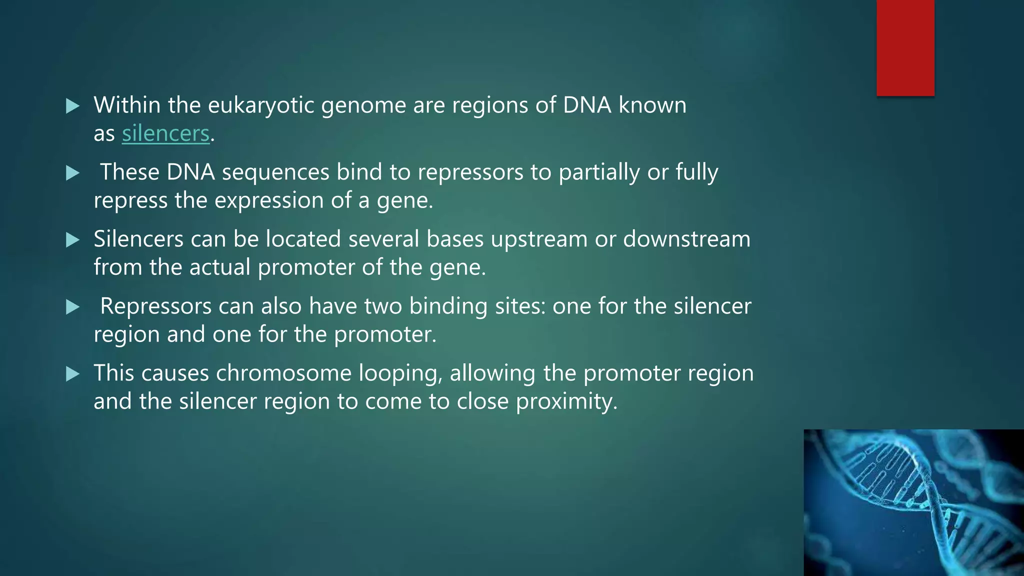 Transcriptional repressors ppt Repressor proteins involved in ...