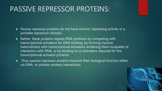 Transcriptional repressors ppt Repressor proteins involved in ...