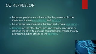 Transcriptional repressors ppt Repressor proteins involved in ...