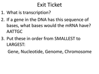 Transcription and dna organization | PPTX