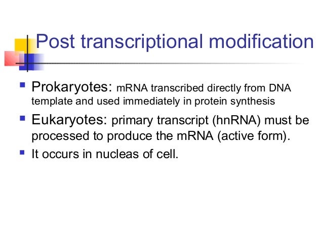 Transcription and post-transcriptional modification.